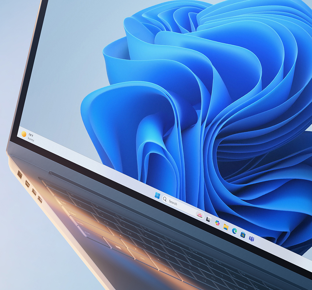 Laptop running Windows.